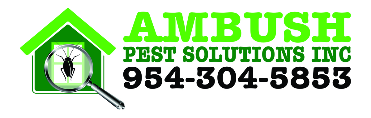 Ambush Pest Solutions | Top-Rated Pest Control in Coconut Creek, Coral ...